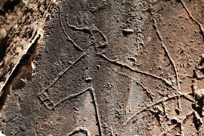 Night Visit to the Engravings of Foz Côa in 4x4 between DOURO and CÔA - Practical Details and Tips