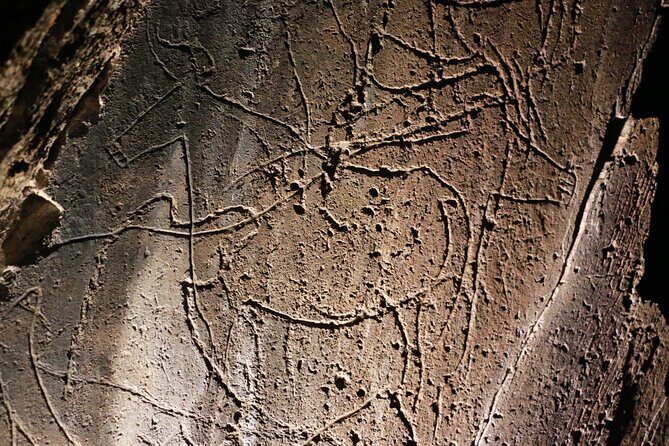 Night Visit to the Engravings of Foz Côa in 4x4 between DOURO and CÔA - FAQs