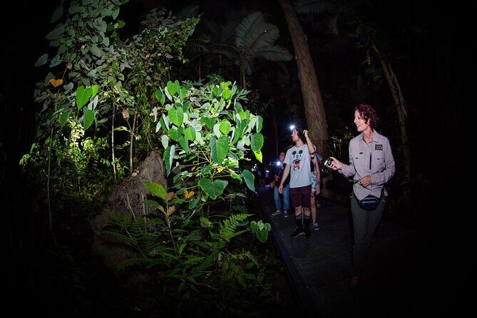 Night Walk in Cairns Botanic Gardens - Let's Go Buggin - Who Is This Tour Best Suited For?