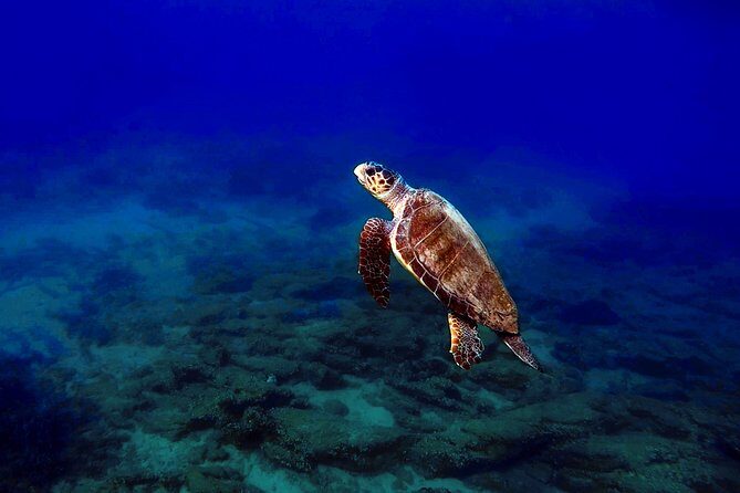 Nima Diving Center, Naxos, Greece - Frequently Asked Questions