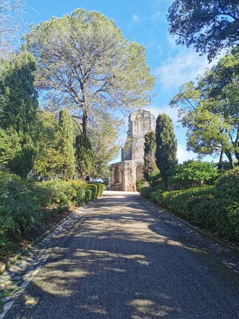 Nîmes - Spend a day like an ancient Roman - Who Will Love This Tour?