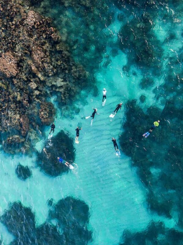 Ningaloo: Snorkelling & Coral Viewing Semi Submersible Tour - Who Would Love This Tour?