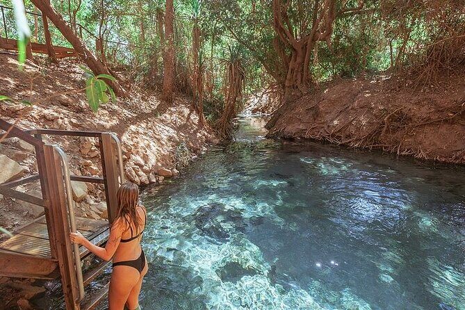 Nitmiluk National Park & Katherine Hot Springs - Full Day Tour - Authentic Experiences from Reviews