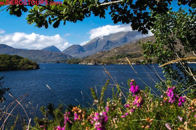 NO 1 Ring of Kerry Tour inc Killarney Lakes & National Park - Final Words