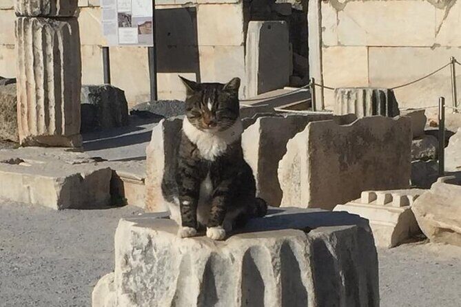 NO HIDDEN FEES Private Ephesus with skip the line tickets - Frequently Asked Questions (FAQs)