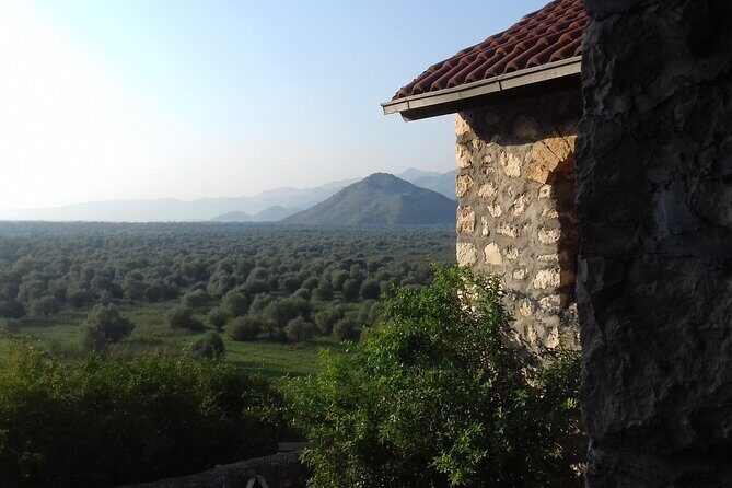 Noah's Ark Skadar Lake Journey - An In-depth Look at the Experience