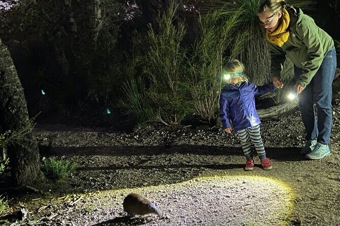 Nocturnal Wildlife Tour from Busselton - Key Points