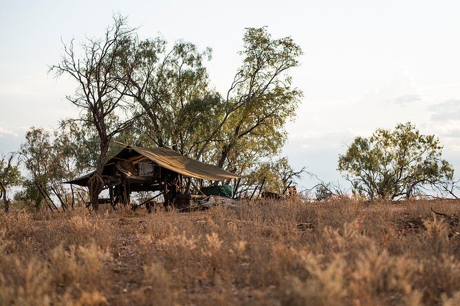 Nogo Station Experience - Wildlife Encounters and Farm Life