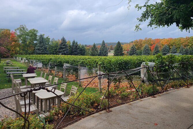 NON BUS FALL COLORS Traverse City Old Mission Wine Tour - Additional Highlights: Luxury Transportation & Guides