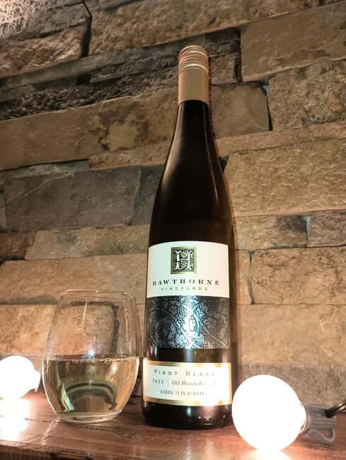 NON BUS GIRLS TRIP Traverse City Old Mission Wine Tour - The Experience You’ll Actually Get