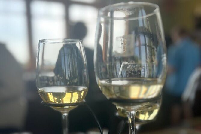 NON BUS VIP GMC Yukon Traverse Old Mission Peninsula Wine Tour - Who Should Book This Tour?