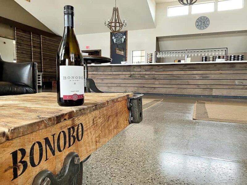 NON BUS VIP Red Wine Lovers Old Mission Traverse Wine Tour - Final Thoughts: Who Will Love This Tour?