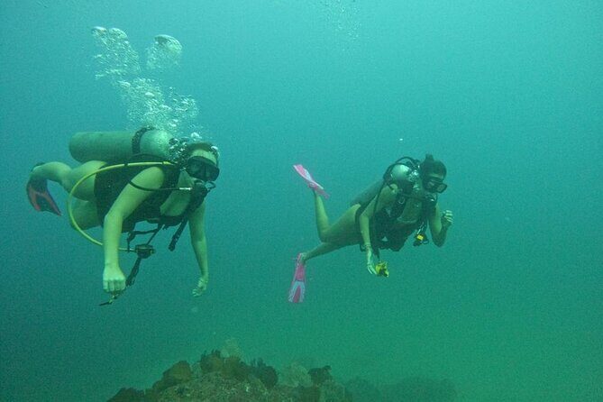 Non-Certified Diving Adventure in Cabo San Lucas - Duration and Group Size  