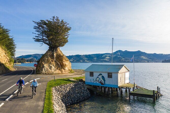 Non-Electric Bike Rental - What to Expect from the Non-Electric Bike Rental Experience