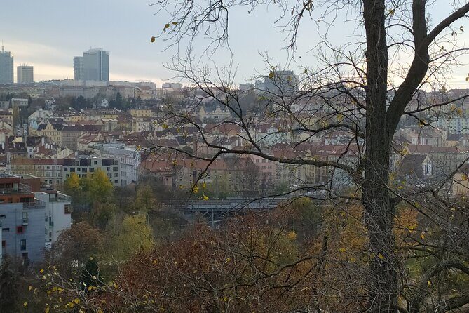 Non-touristy Prague - Cozy Neighborhoods - Private Tour - Value and Practical Considerations