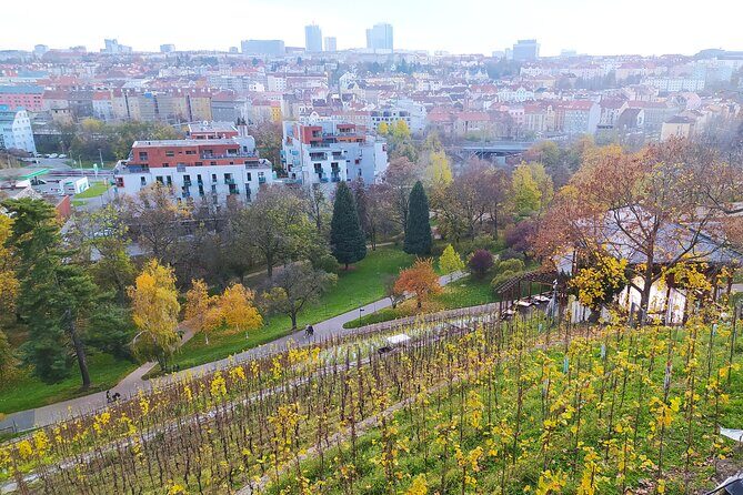 Non-touristy Prague - Cozy Neighborhoods - Private Tour - The Sum Up