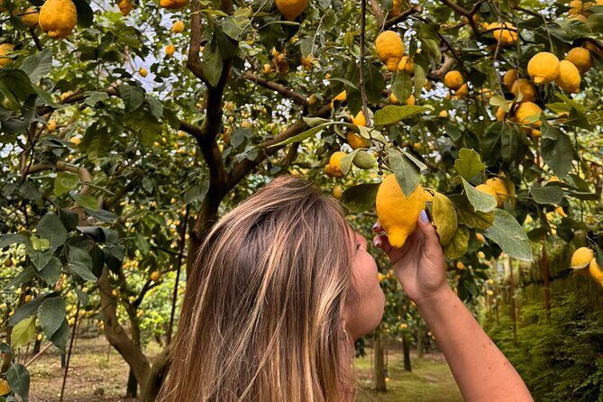 Nonno Mario Sorrento Lemon tour - Final Thoughts