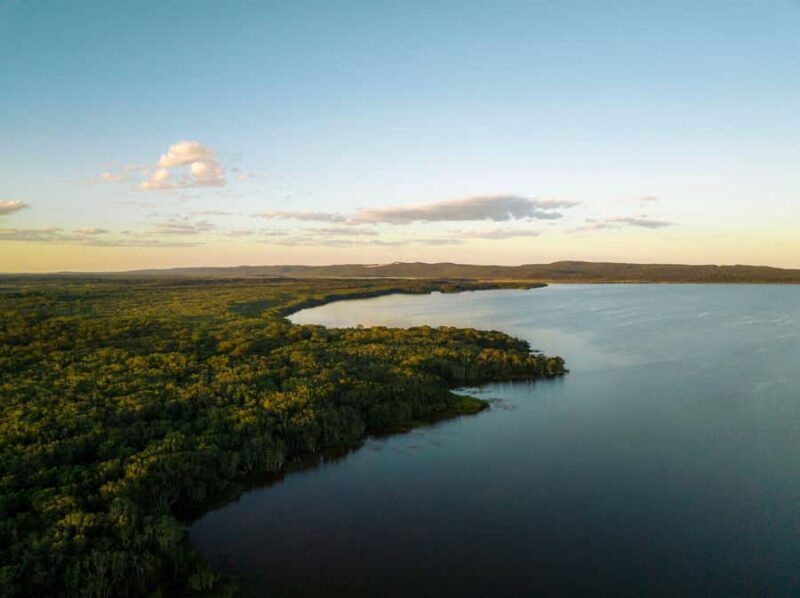 Noosa: Afternoon Cruise through the Noosa Everglades - Who Would Love This Tour?
