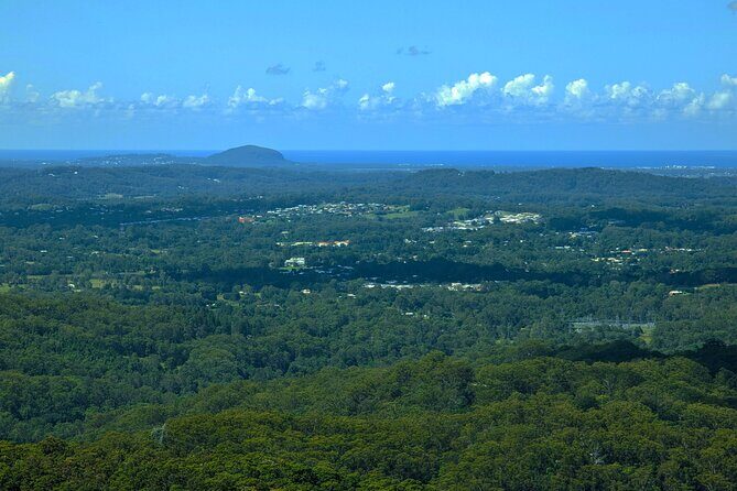 Noosa, Aussie Animals & Glass House Mountains from Brisbane - Transportation and Group Size