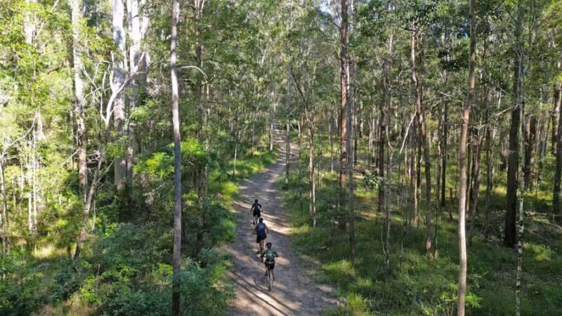 Noosa Biosphere Trails  Guided eMountain Bike Tour - An In-Depth Look at the Tour Experience
