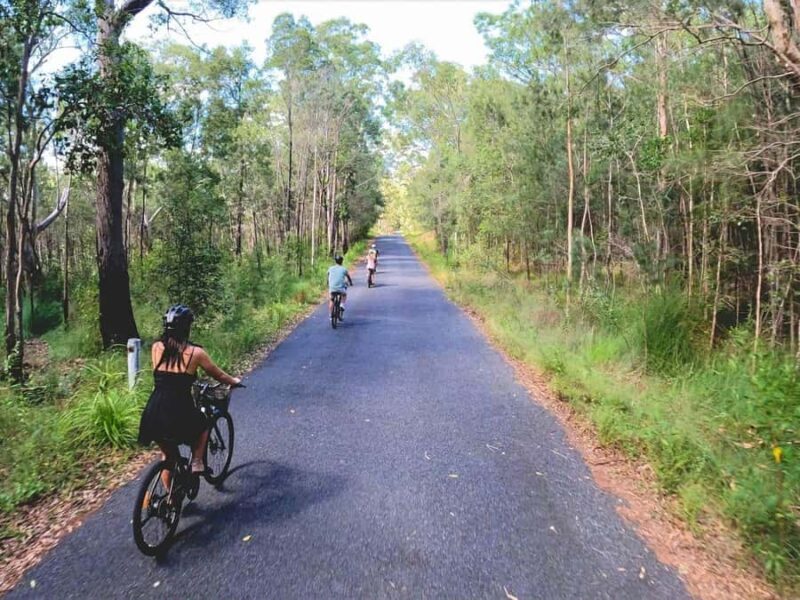 Noosa: E-Bike Tour from Mt Tinbeerwah to Noosa - Key Points