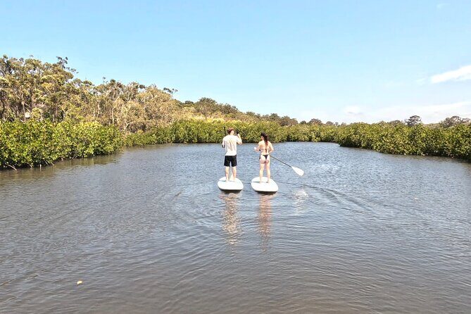 Noosa: Epic Stand Up Paddle Stingray & Mangrove Tunnel Tour - Who Might Want More?