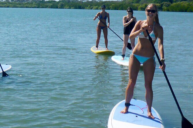 Noosa: Epic Stand Up Paddle Stingray & Mangrove Tunnel Tour - The Sum Up: The Ideal Balance of Scenery, Wildlife, and Ease