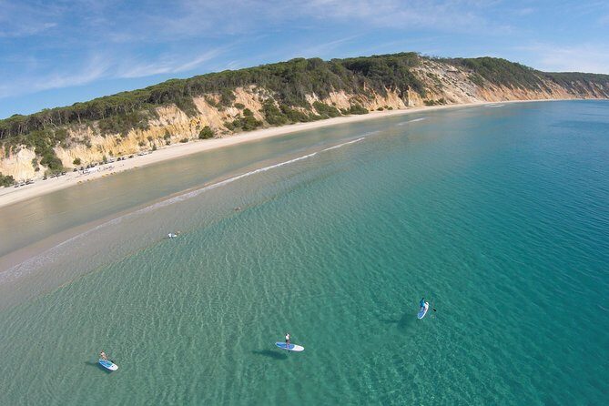 Noosa: Epic Stand Up Paddle Wildlife & Beach 4X4 Adventure - Noosa: Epic Stand Up Paddle Wildlife & Beach 4X4 Adventure - A Complete Review