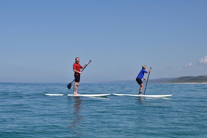 Noosa: Epic Stand Up Paddle Wildlife & Beach 4X4 Adventure - Key Points