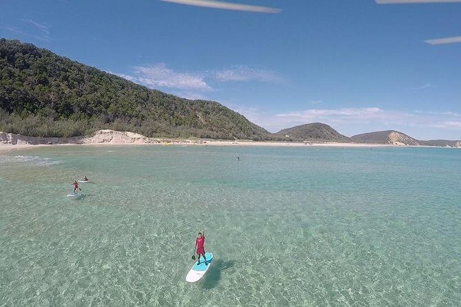 Noosa: Epic Stand Up Paddle Wildlife & Beach 4X4 Adventure - Who Will Love This Tour?
