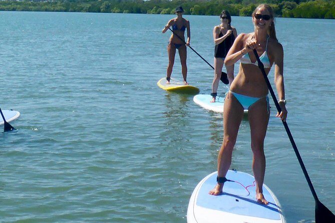 Noosa: Epic Stand Up Paddle Wildlife & Beach 4X4 Adventure - FAQ