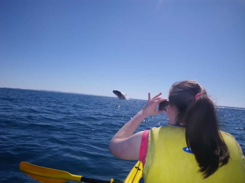 Noosa: Epic Whale Watching Ocean Kayak Tour & Beach 4X4 - Who is this tour best suited for?