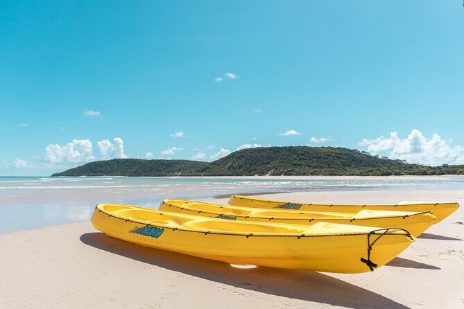 Noosa: Epic Whale Watching On Ocean Kayaks & Beach 4X4 Tour - FAQ