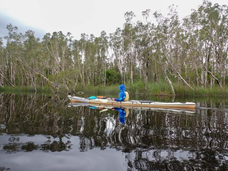 Noosa Everglades: Truly Sustainable Self Guided KAYAK Tour - An Authentic, Eco-Friendly Experience in the Noosa Everglades