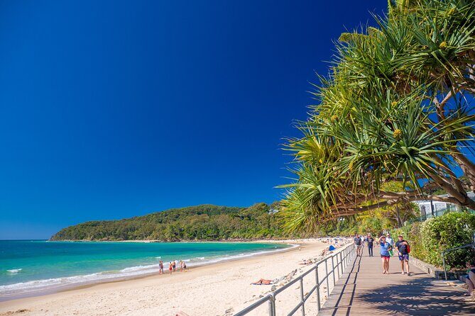 Noosa Heads and Eumundi Markets Private Tour from Brisbane - Key Points