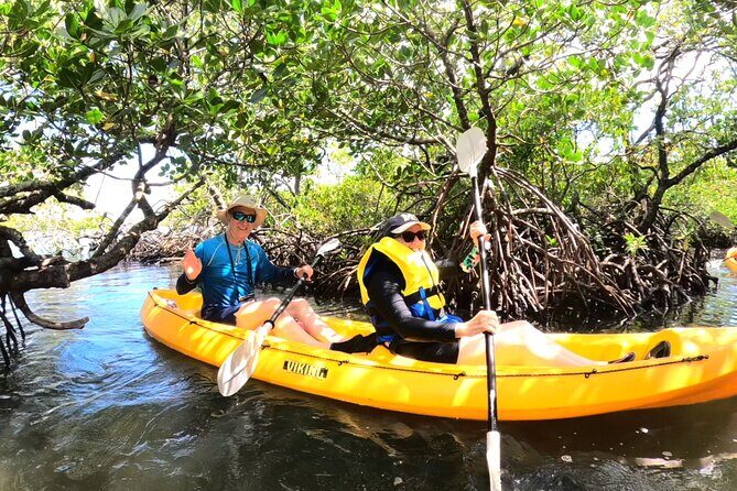 Noosa Heads: Epic Hidden Waterways & Wildlife Kayak Tour - Key Points