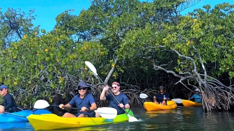 Noosa Heads: Hidden Waterways Wildlife Kayak (Fully Guided) - FAQ