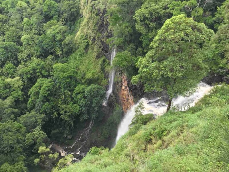 Noosa: Maleny & Montville Tour with Lunch & Wine Tasting - Exploring Sunshine Coast Hinterland: A Detailed Look at the Noosa: Maleny & Montville Tour with Lunch & Wine Tasting