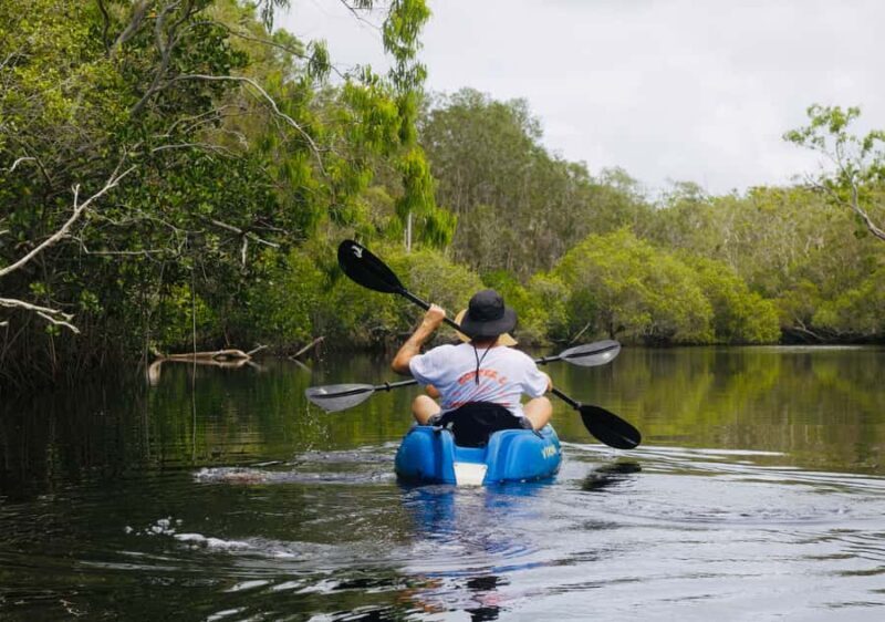 Noosa: Noosa Everglades and Stingray Sanctuary Kayak Tour - The Guides & Group Experience