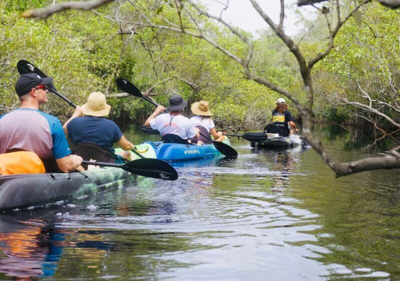 Noosa: Noosa Everglades and Stingray Sanctuary Kayak Tour - Who Will Love This Tour?
