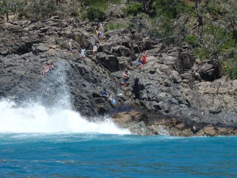 Noosa: Noosa Ocean Adventure with Dolphin Watching - Who Will Love This Tour?