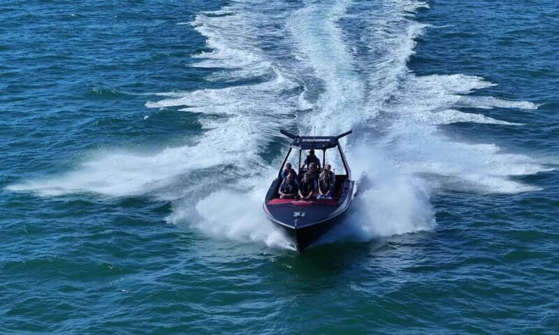 Noosa; Noosa Ocean Adventures - Whale Watching - The Sum Up