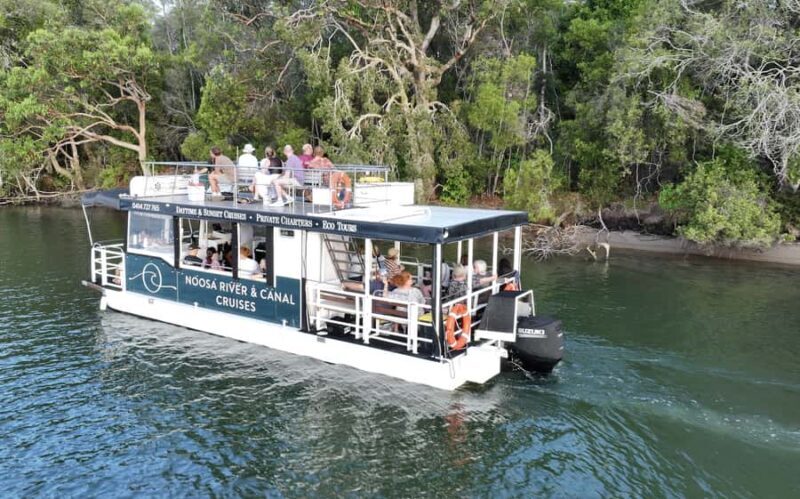 Noosa: Noosa River Eco Tour - Final Thoughts: Is It Worth It?