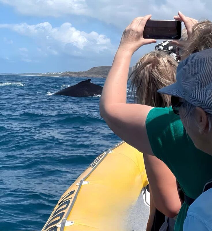 Noosa: Noosa Whale Watching Tour - Final Thoughts