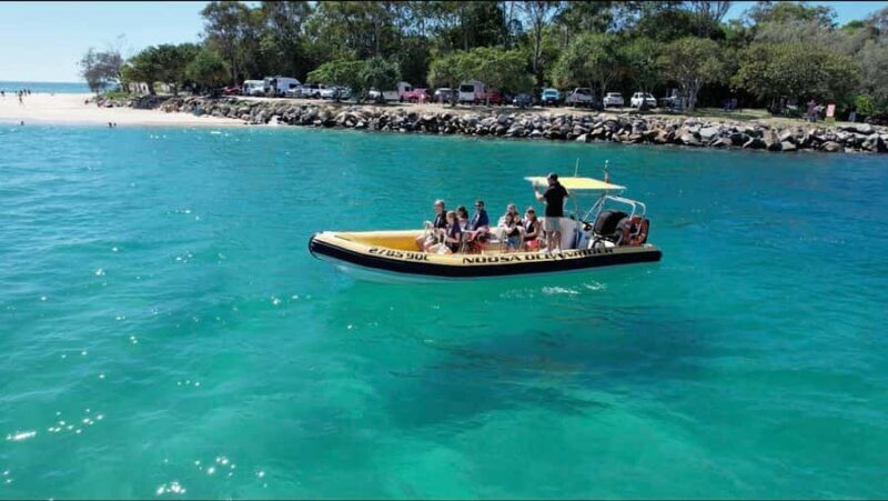 Noosa Ocean adventure & Dolphin Safari. - An Exciting Ride Through Noosa’s Coastal Marvels