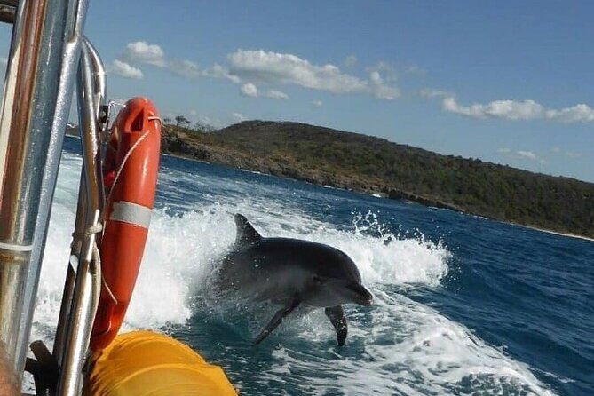 Noosa ocean adventure & Dolphin safari. - The Practicalities: What You Need to Know