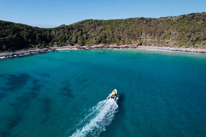 Noosa ocean adventure & Dolphin safari. - Who Will Love This Tour?