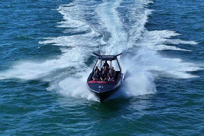 Noosa Ocean Adventures: Dolphins - An In-Depth Look at the Noosa Ocean Adventures: Dolphins Tour