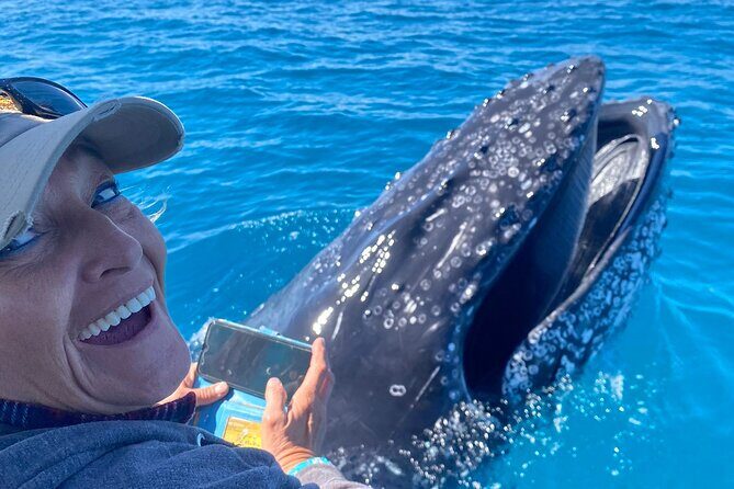 Noosa Ocean Adventures: Whale Watch - Key Points