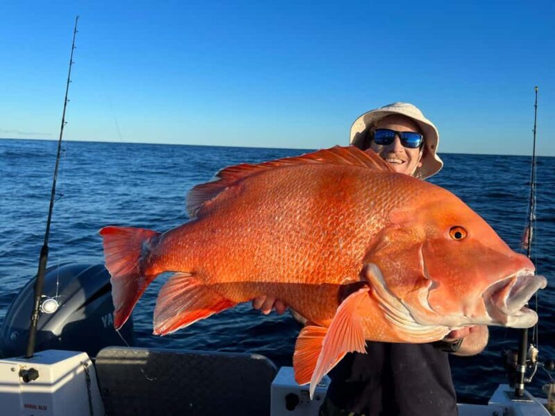 Noosa: Offshore Fishing Charter - Practical Details and Tips